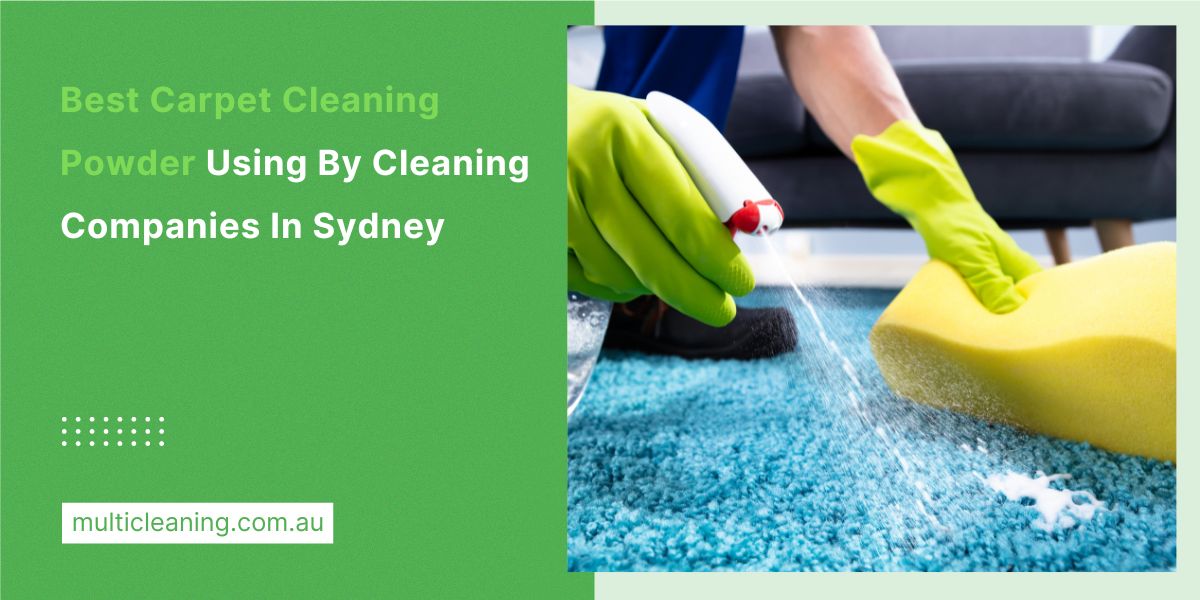 9 Best Carpet Cleaning Products Used By Cleaners