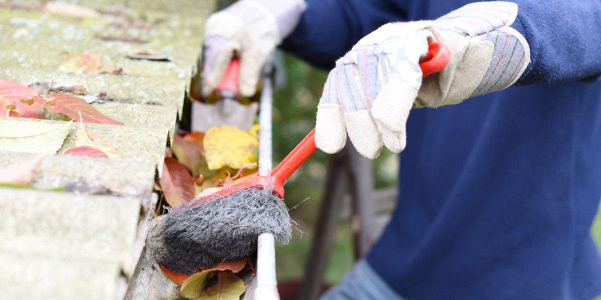 Top-Rated Commercial Gutter Cleaning Services In Sydney